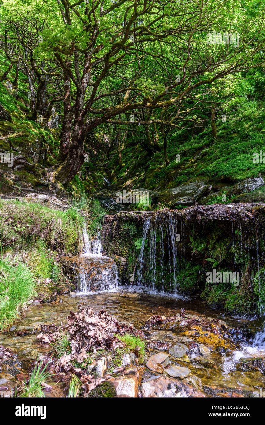 The Elan Valley, Wales, UK Stock Photo - Alamy