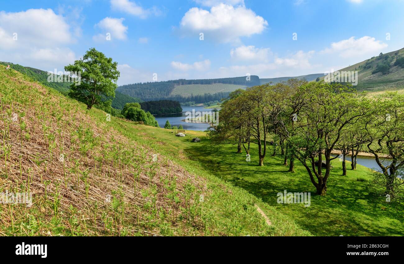 The Elan Valley, Wales, UK Stock Photo - Alamy