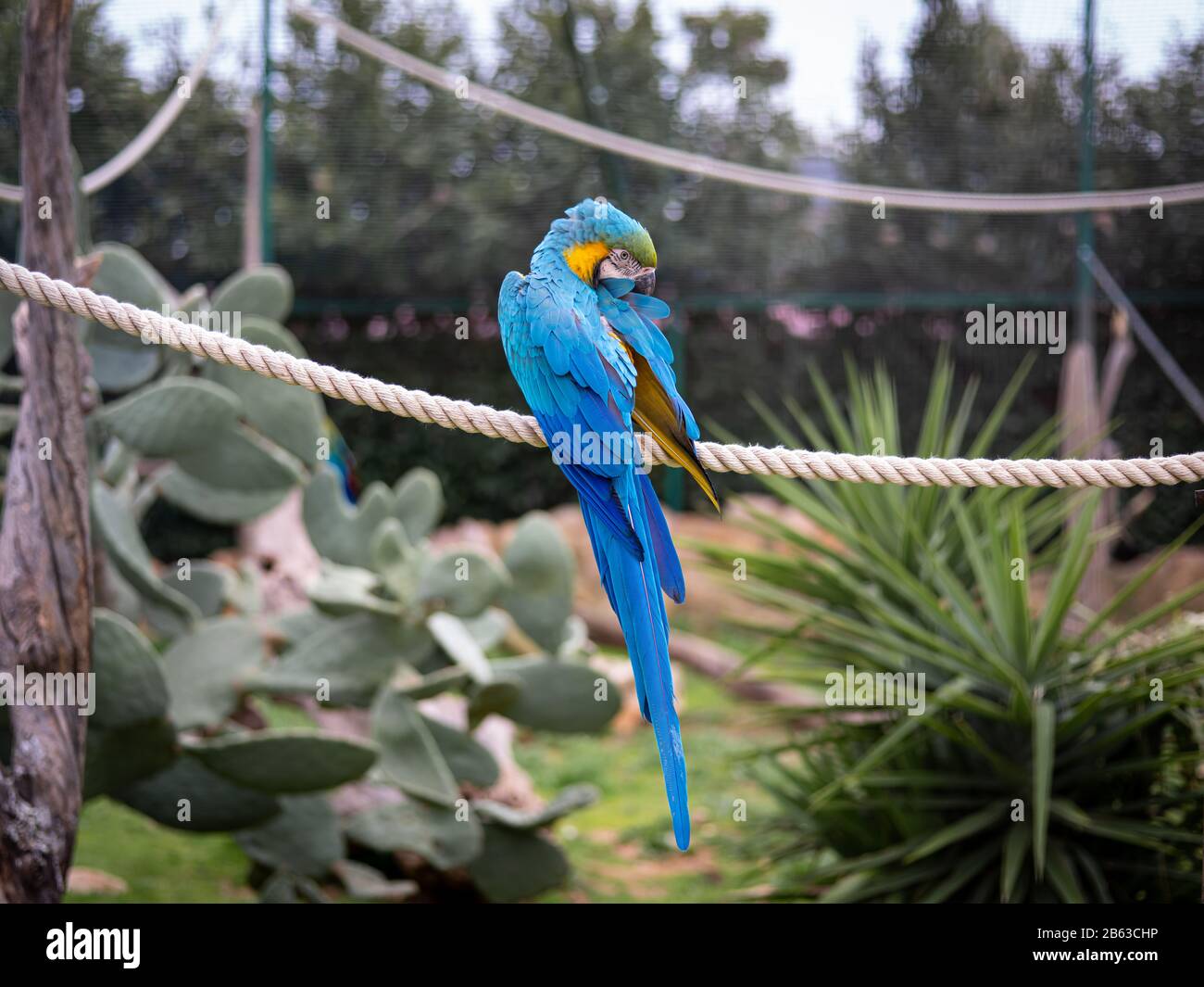 Azure blue and gold hi-res stock photography and images - Alamy