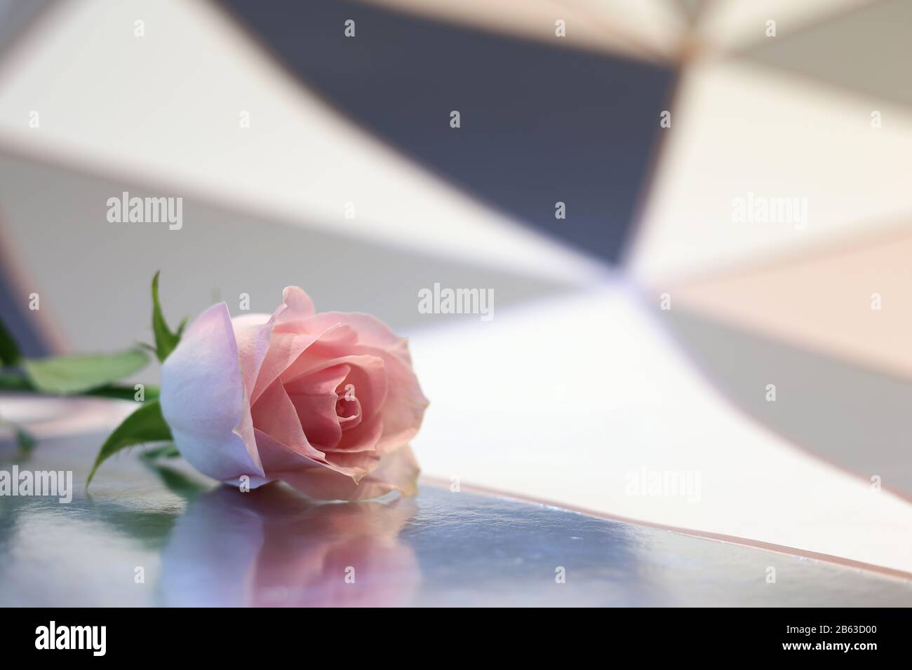 Single flower, celebration Stock Photo - Alamy