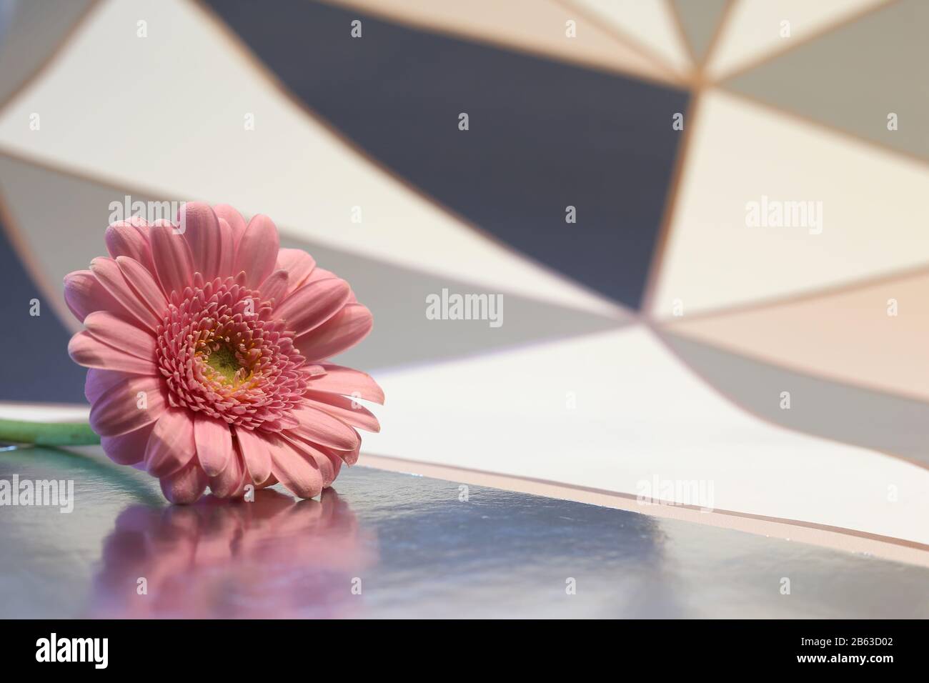 Single flower, celebration Stock Photo - Alamy
