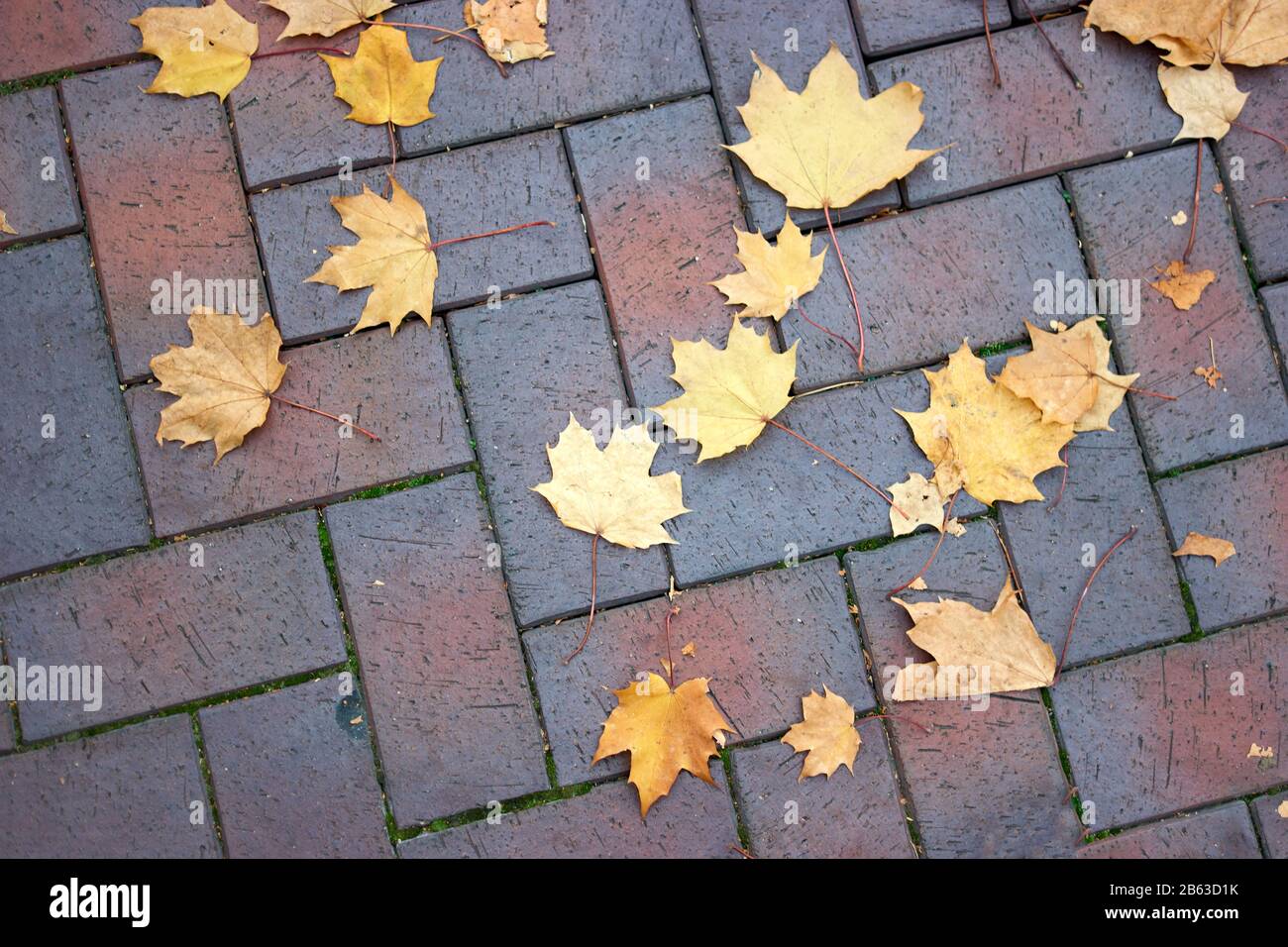 Scattered Mosaic High Resolution Stock Photography and Images - Alamy