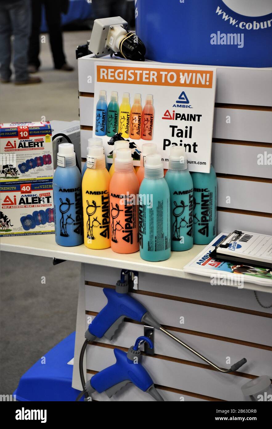 Paint used to identify and mark herd members of cattle, sheep ETC. Safe ...