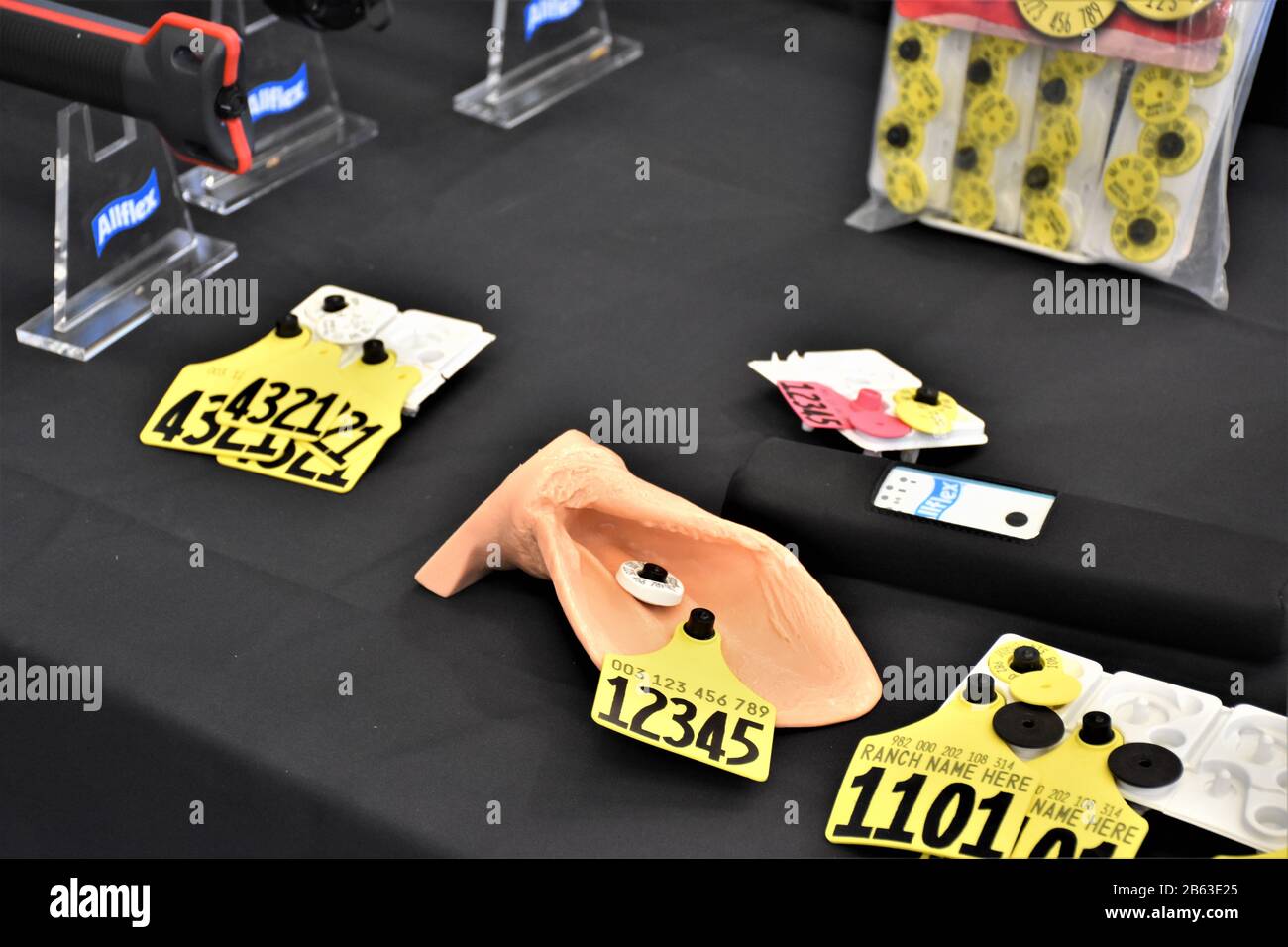 Cattle ear tag for tracking via number and electronic beacon within ...