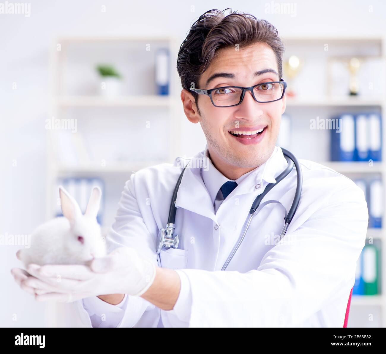 The vet doctor examining rabbit in pet hospital Stock Photo - Alamy