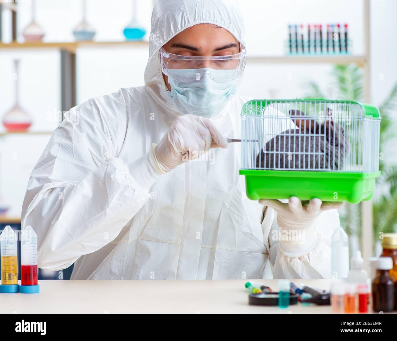 Sick rabbit cage hi-res stock photography and images - Alamy