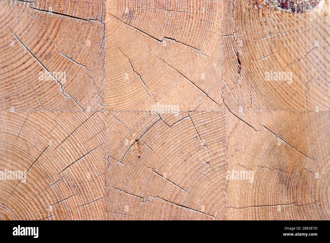 Different wood textures hi-res stock photography and images - Alamy