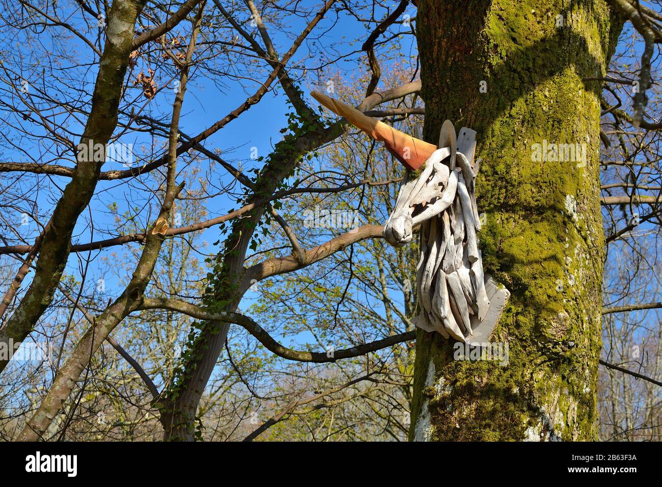 Scottish fairies hi-res stock photography and images - Alamy