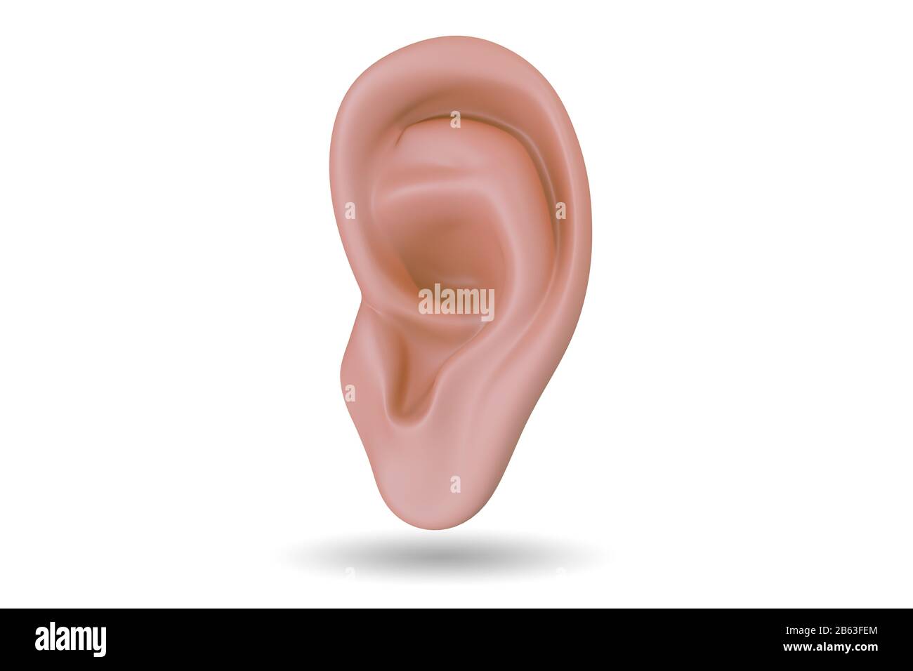 Human ear in medical concept - 3d rendering Stock Photo - Alamy