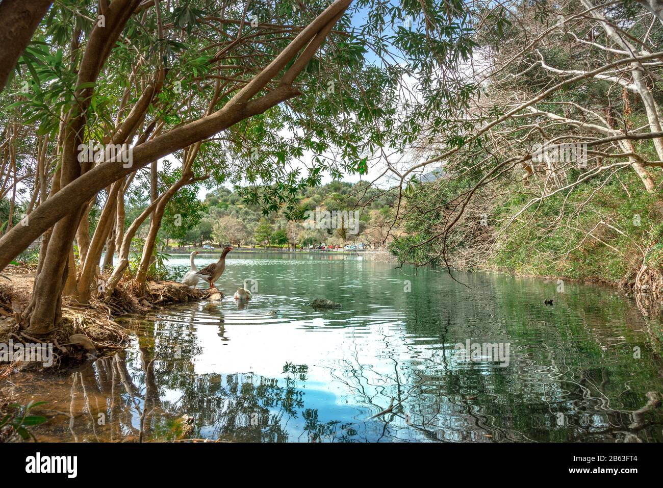 Lake of Zaros at spring, Crete, Greece Stock Photo - Alamy