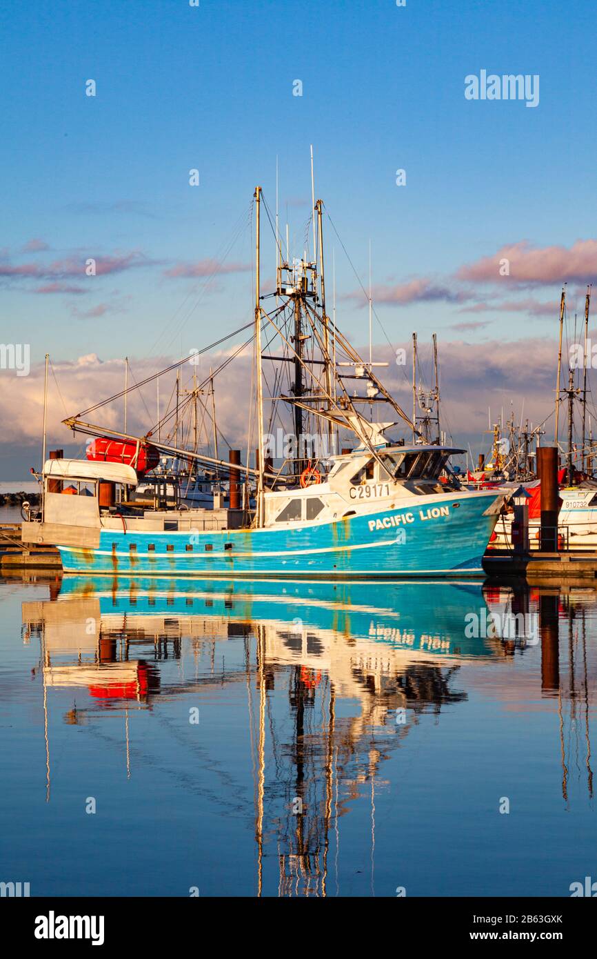 British and pacific and fleet hi-res stock photography and images - Alamy