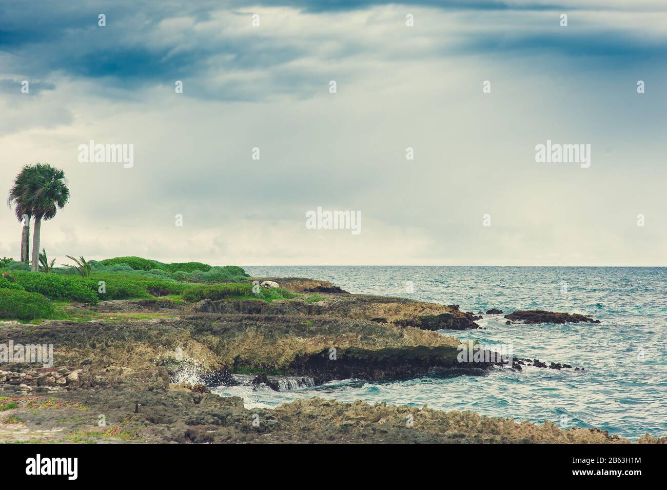 Relaxing on remote Tropical Paradise beach in Dominican Republic ...