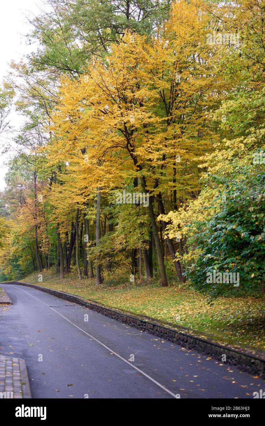 Thin road hi-res stock photography and images - Alamy