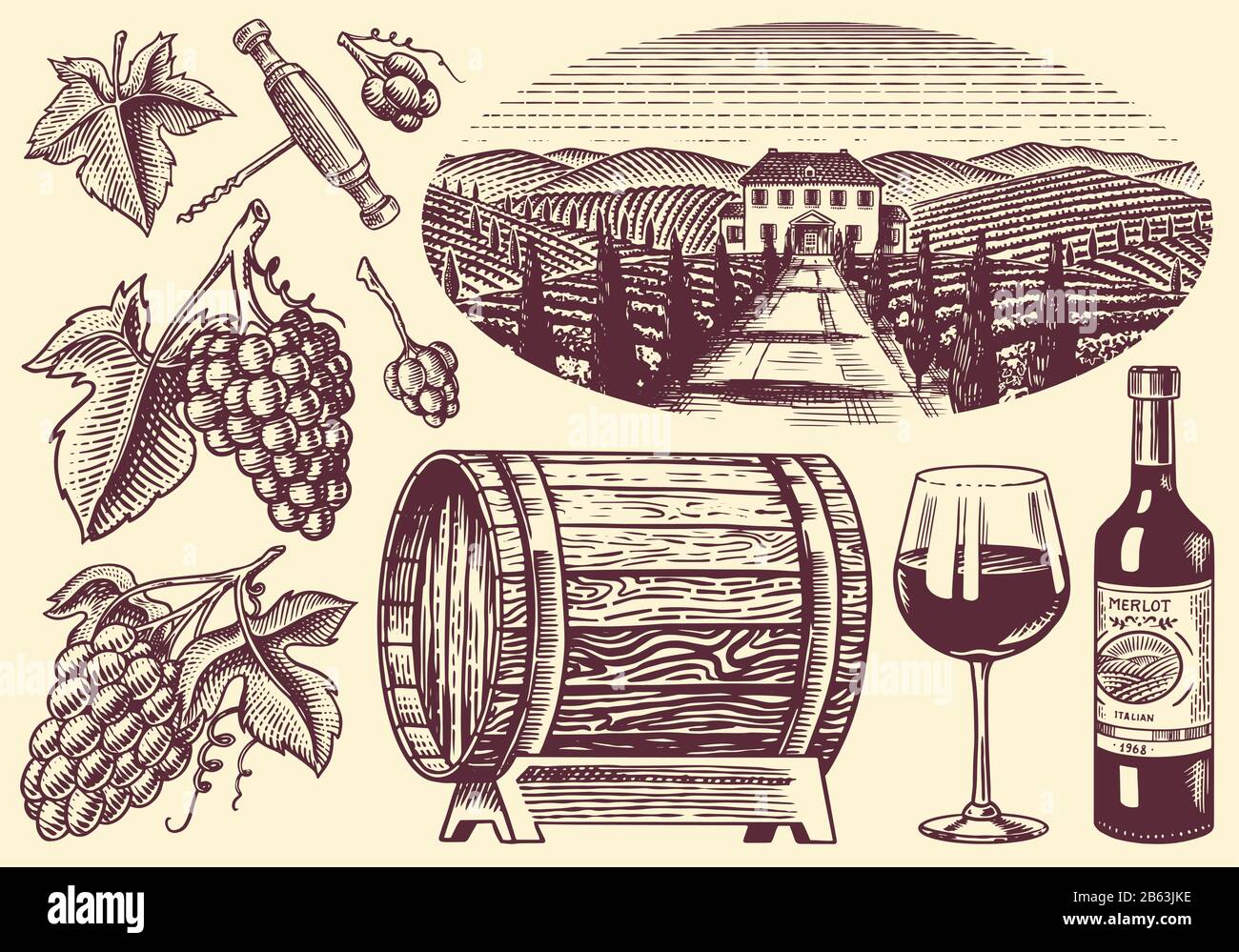 Vineyard and Wine Set. Grapes and wooden barrel. Vine plantation for ...