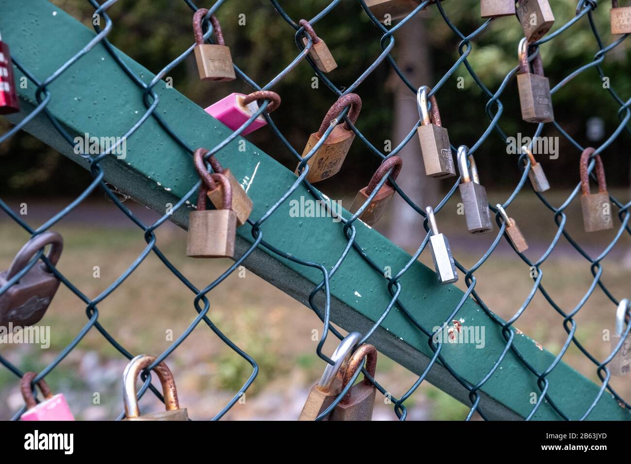 Padlocks hanging on a fence Stock Photo - Alamy