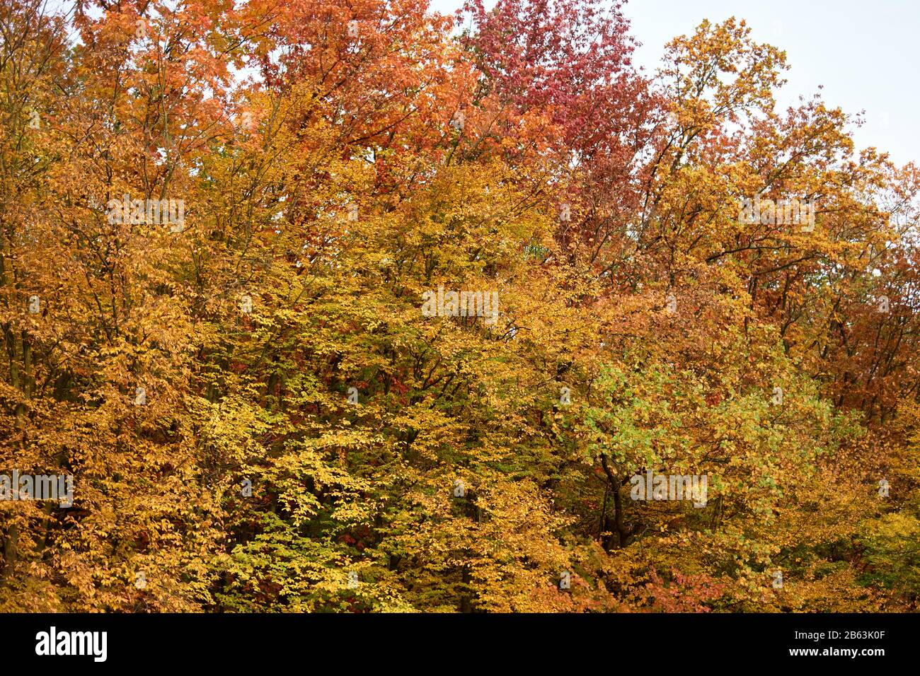 Saturated color colors scenic hi-res stock photography and images - Alamy