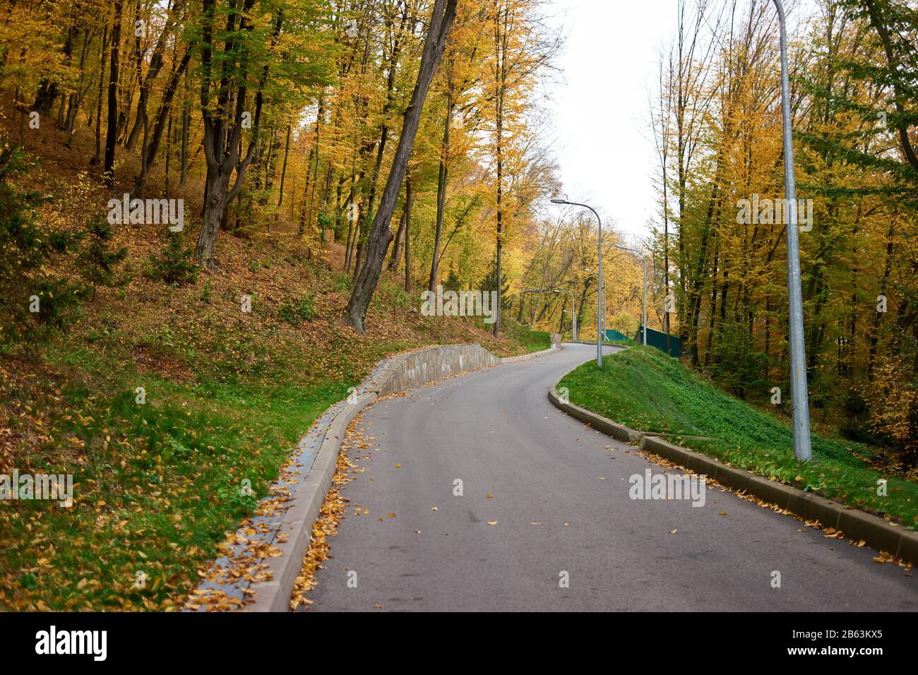 Street lamp forest hi-res stock photography and images - Alamy
