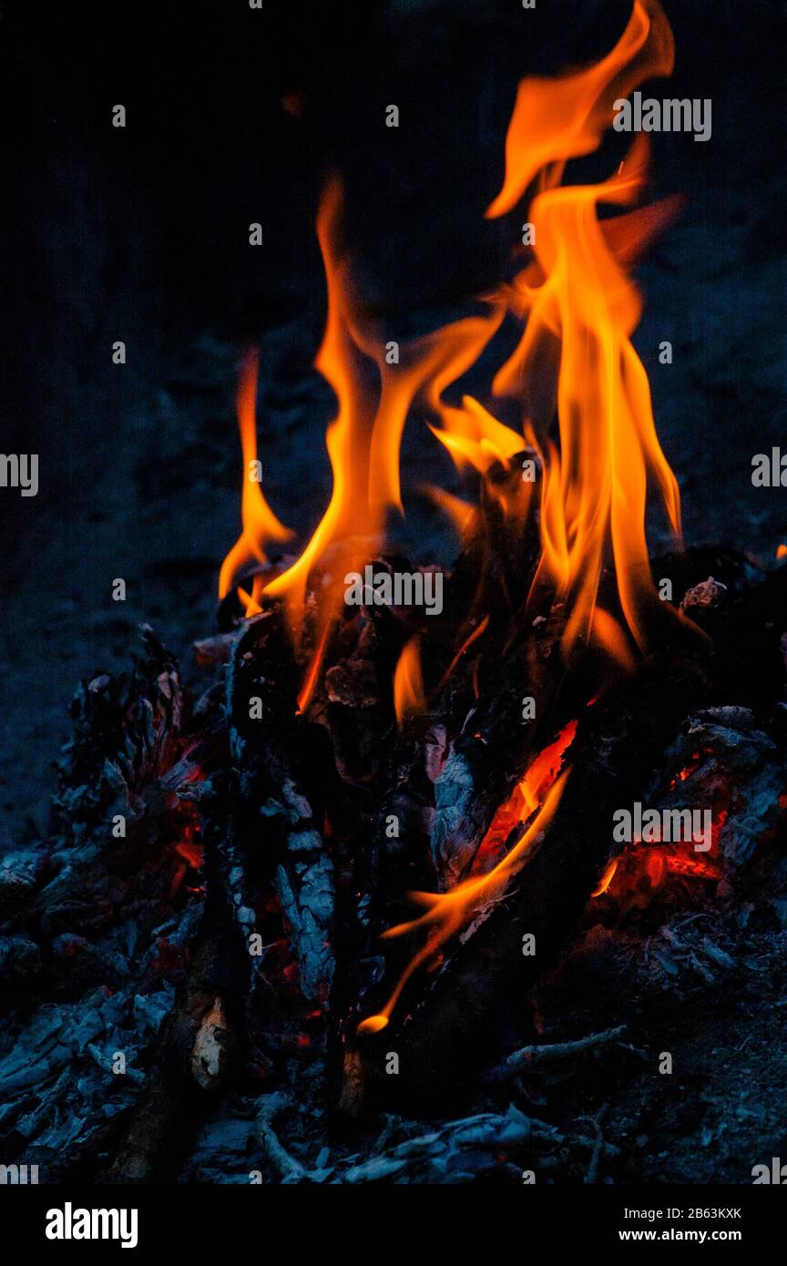 Grill. Bonfire BBQ nature. Bonfire cooking on the grill. Picnic ...