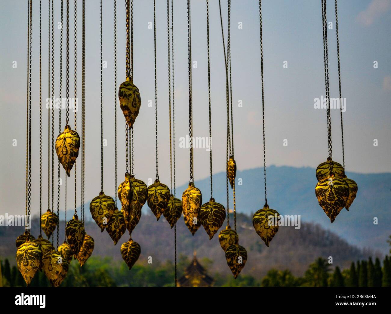 Symbol of golden Bodhi Leaves, represent to the King Rama-9 of Thailand ...