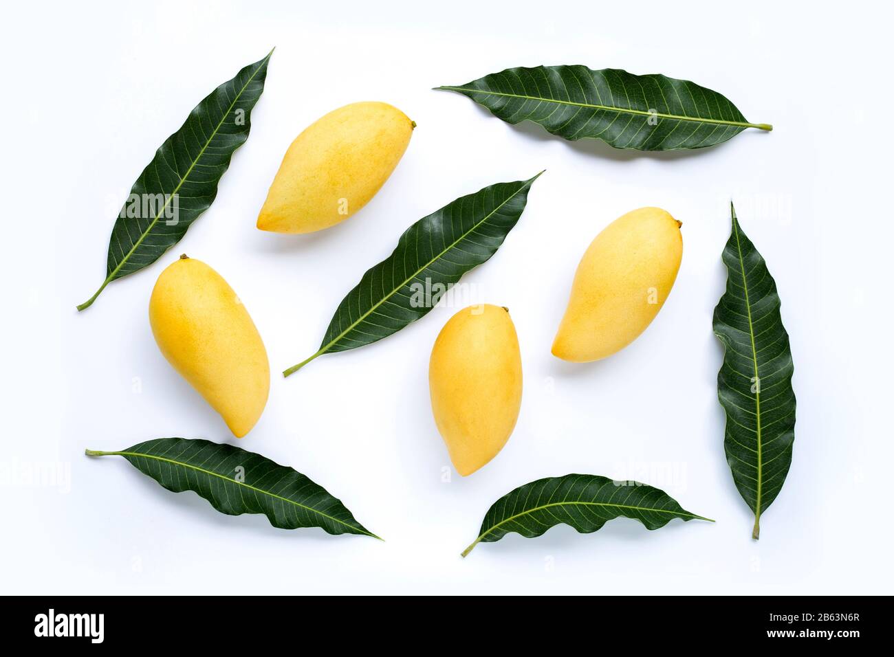 Top view of yellow mango, Tropical fruit juicy and sweet Stock Photo ...