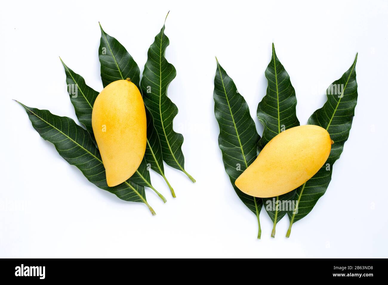 Top view of yellow mango, Tropical fruit juicy and sweet Stock Photo ...