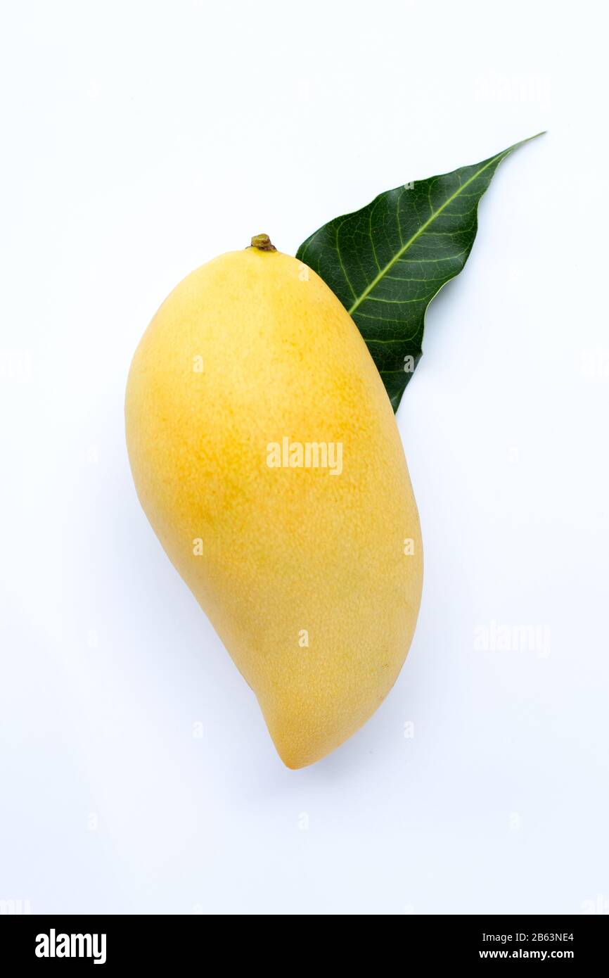 Top view of yellow mango, Tropical fruit juicy and sweet Stock Photo ...