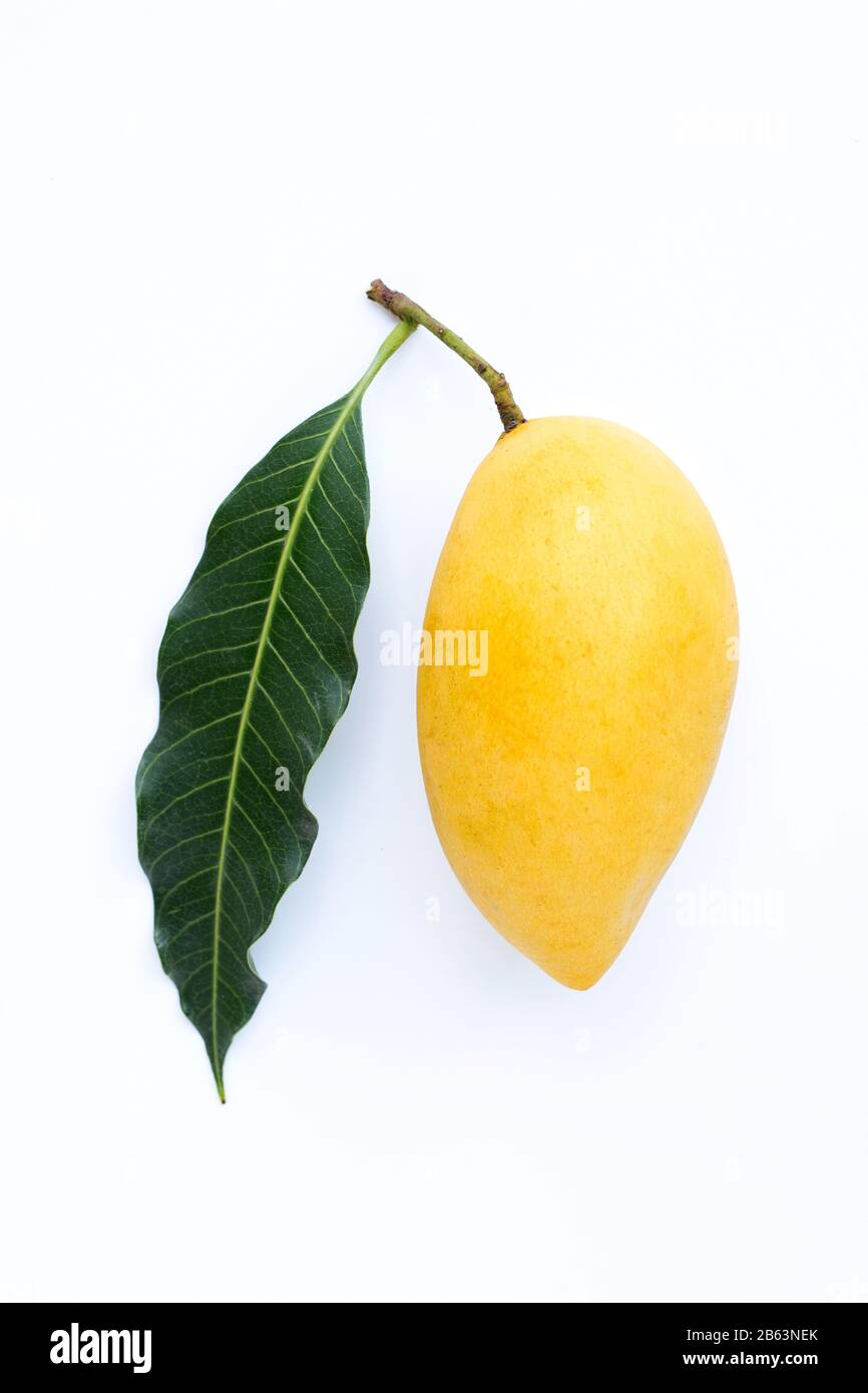 Top view of yellow mango, Tropical fruit juicy and sweet Stock Photo ...