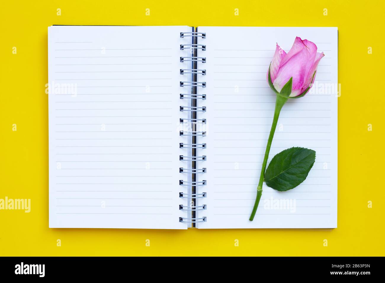 Diary notebook with rose on yellow background. Copy space Stock Photo ...