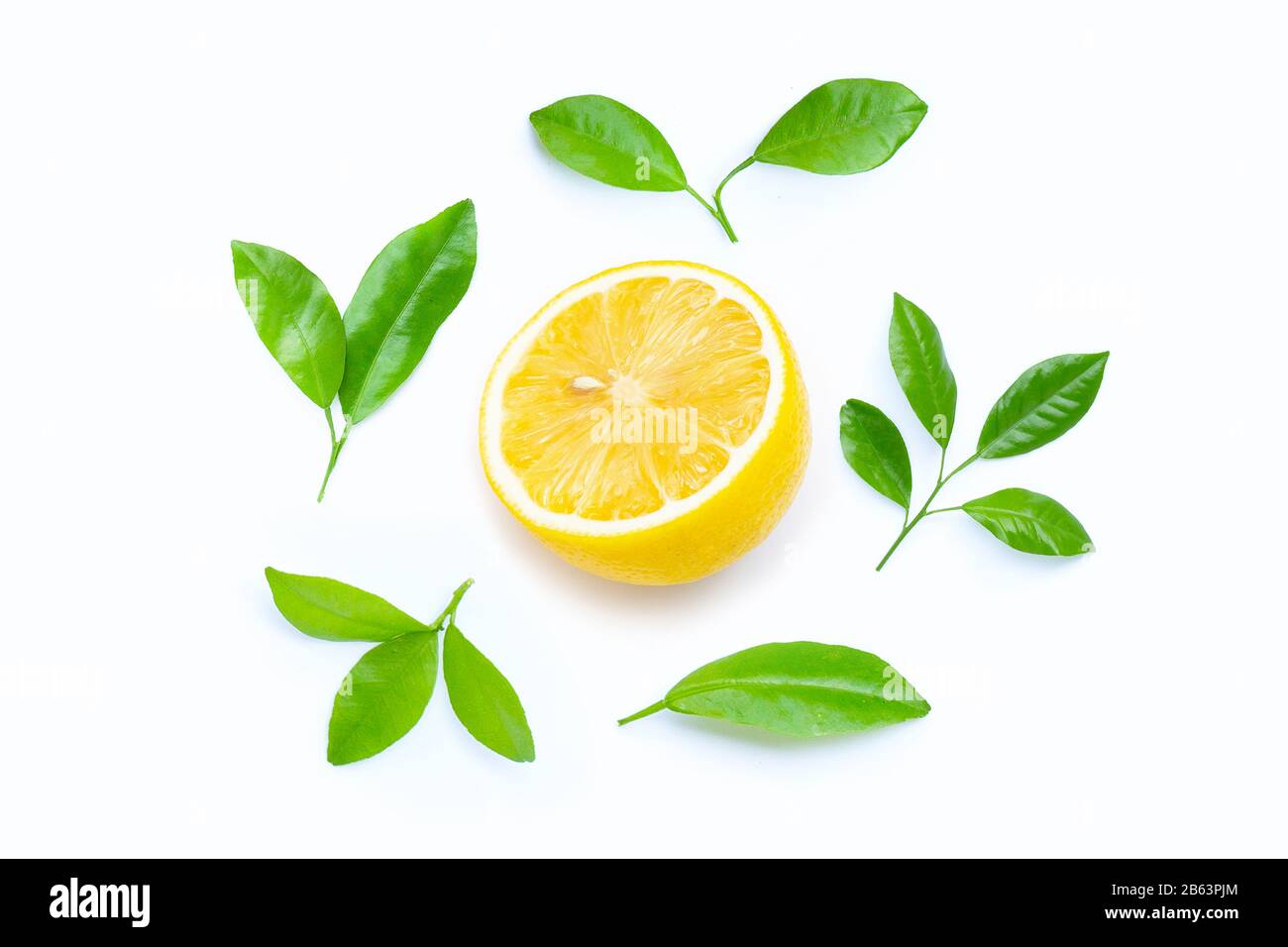 Lemon with leaves circle on white background Stock Photo - Alamy