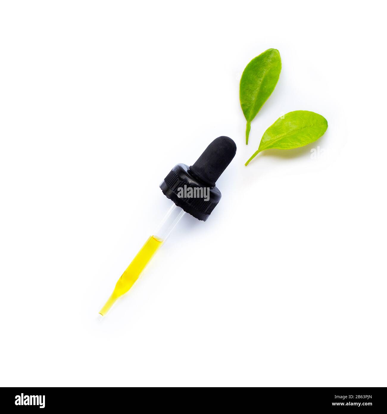 Essential oil in dropper with leaves isolated on white background Stock ...