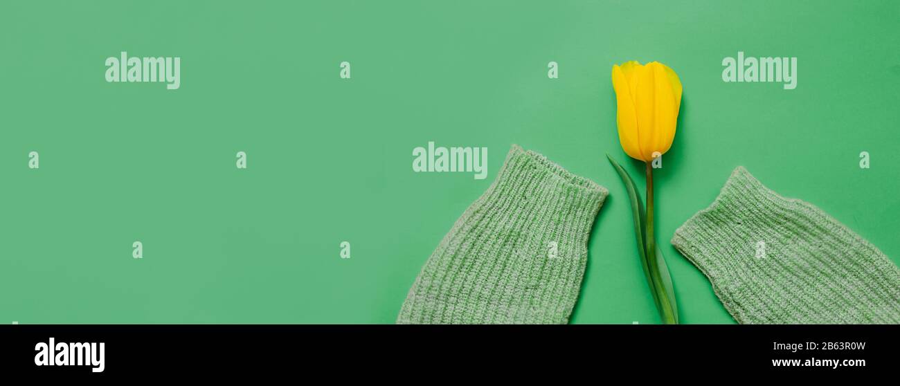 The sleeves of a knitted sweater without arms are a single yellow Tulip ...