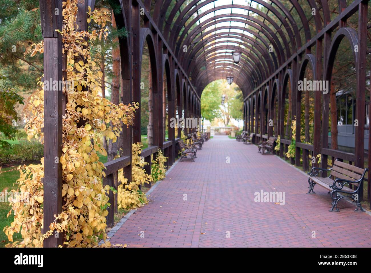 Long wooden pathway, perspective view Stock Photo - Alamy