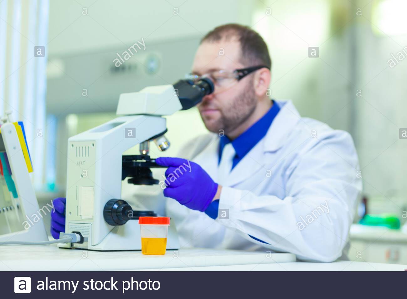 Urinalysis Stock Photos & Urinalysis Stock Images - Alamy