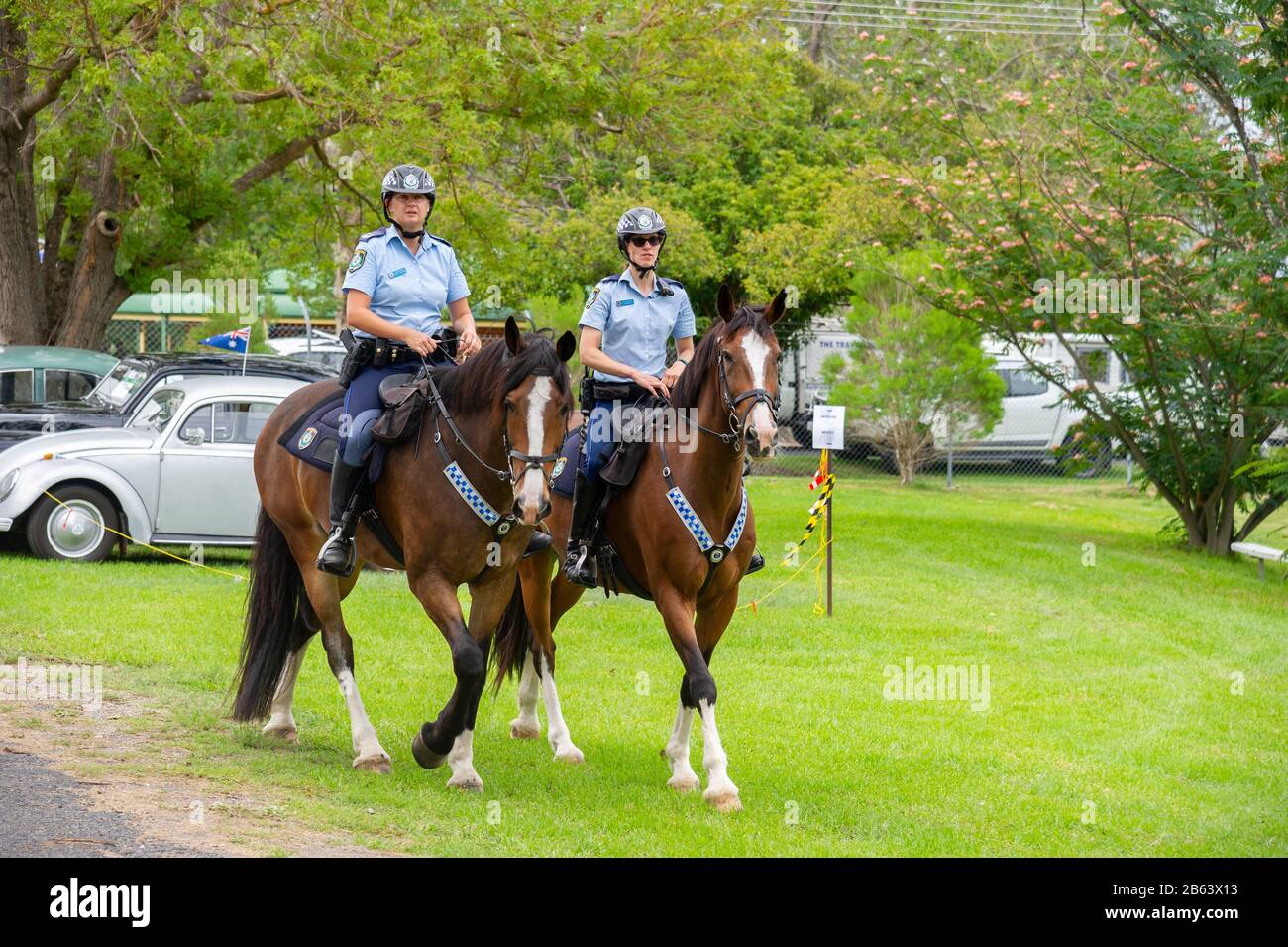 two mounted police in Tenterfield in northern new south wales ...