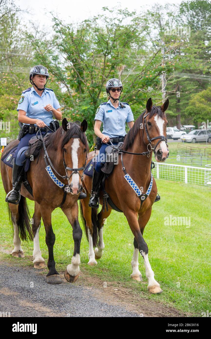 two mounted police in Tenterfield in northern new south wales ...