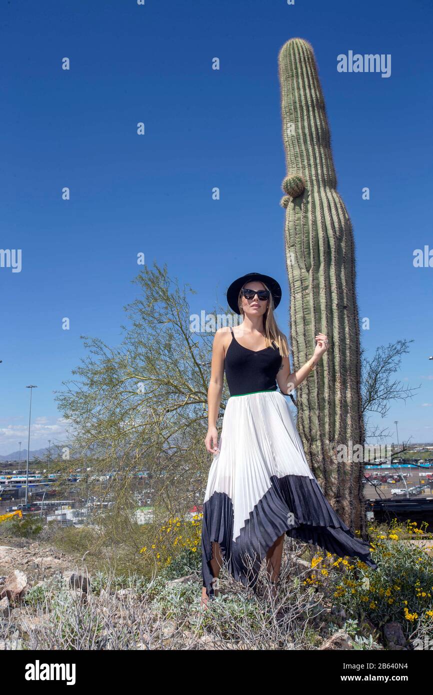 Fanshield hi-res stock photography and images - Alamy