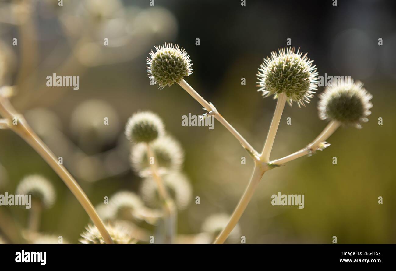 Winner activity hi-res stock photography and images - Alamy