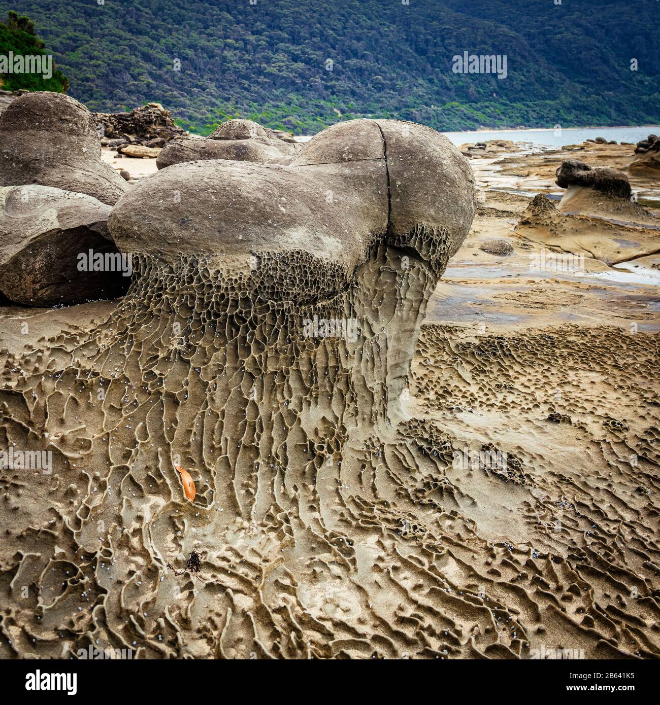 Victorian wilderness hi-res stock photography and images - Alamy