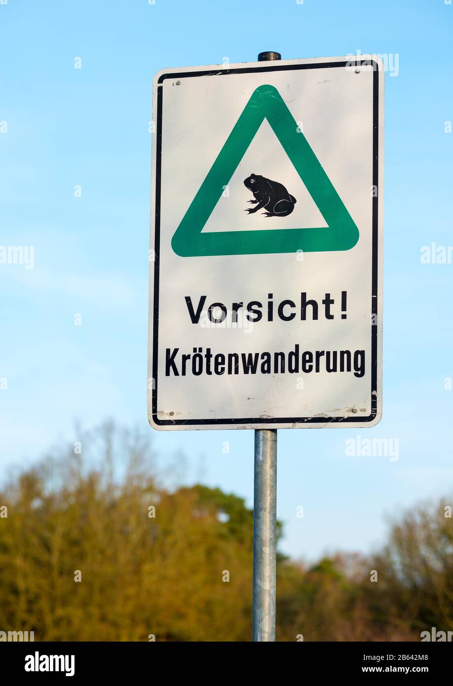 Toad Crossing Sign Germany High Resolution Stock Photography and Images ...