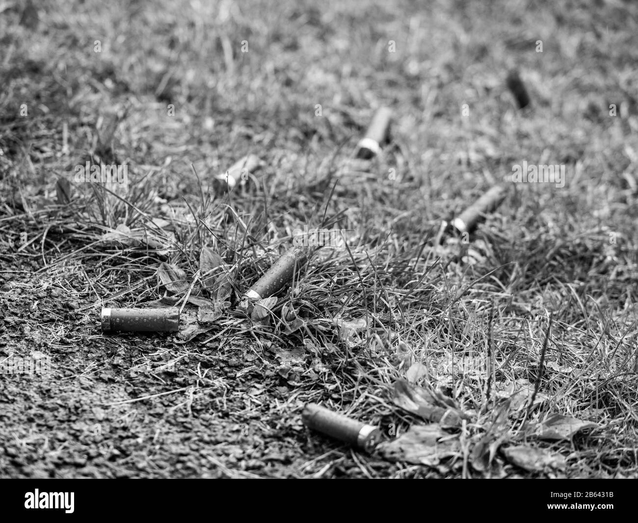 12 gauge shotgun shells hi-res stock photography and images - Alamy