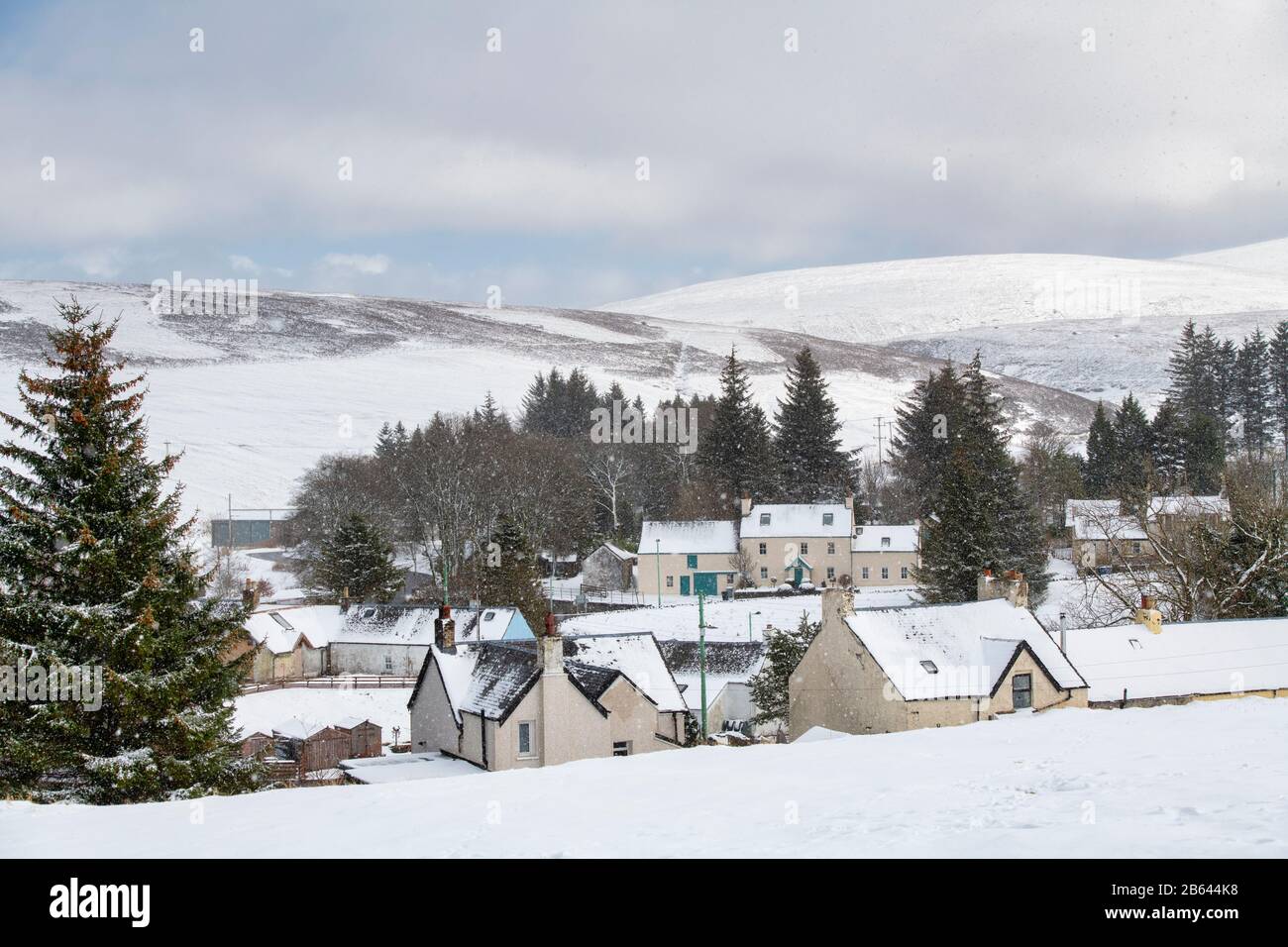 Scottage borders hi-res stock photography and images - Alamy