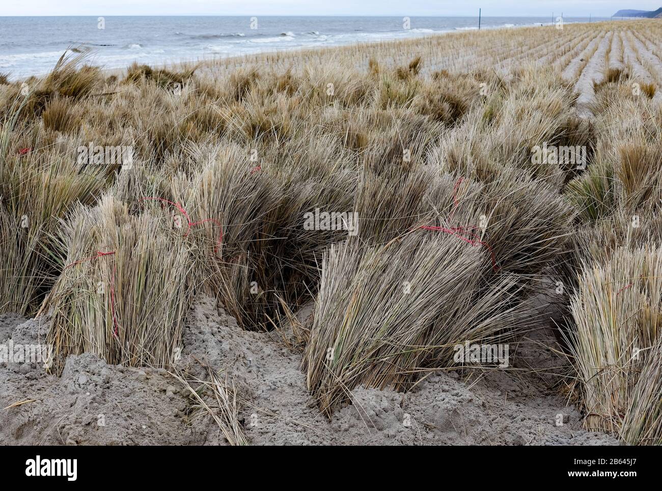 Seaside resort loddin kolpinsee hi-res stock photography and images - Alamy