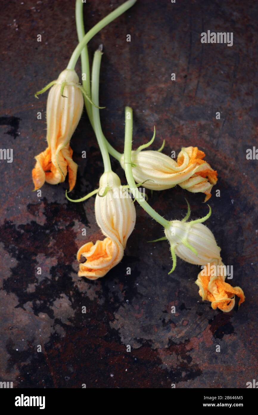 Top View of Fresh Squash Blossoms arranged on a Rusty Background ...