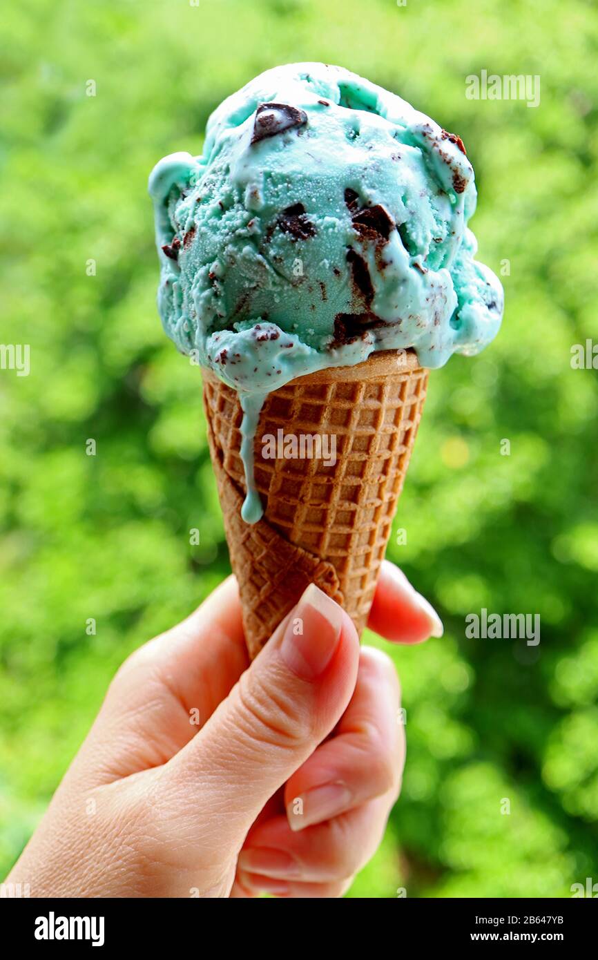 Mint Chocolate Chip Ice Cream Wallpaper