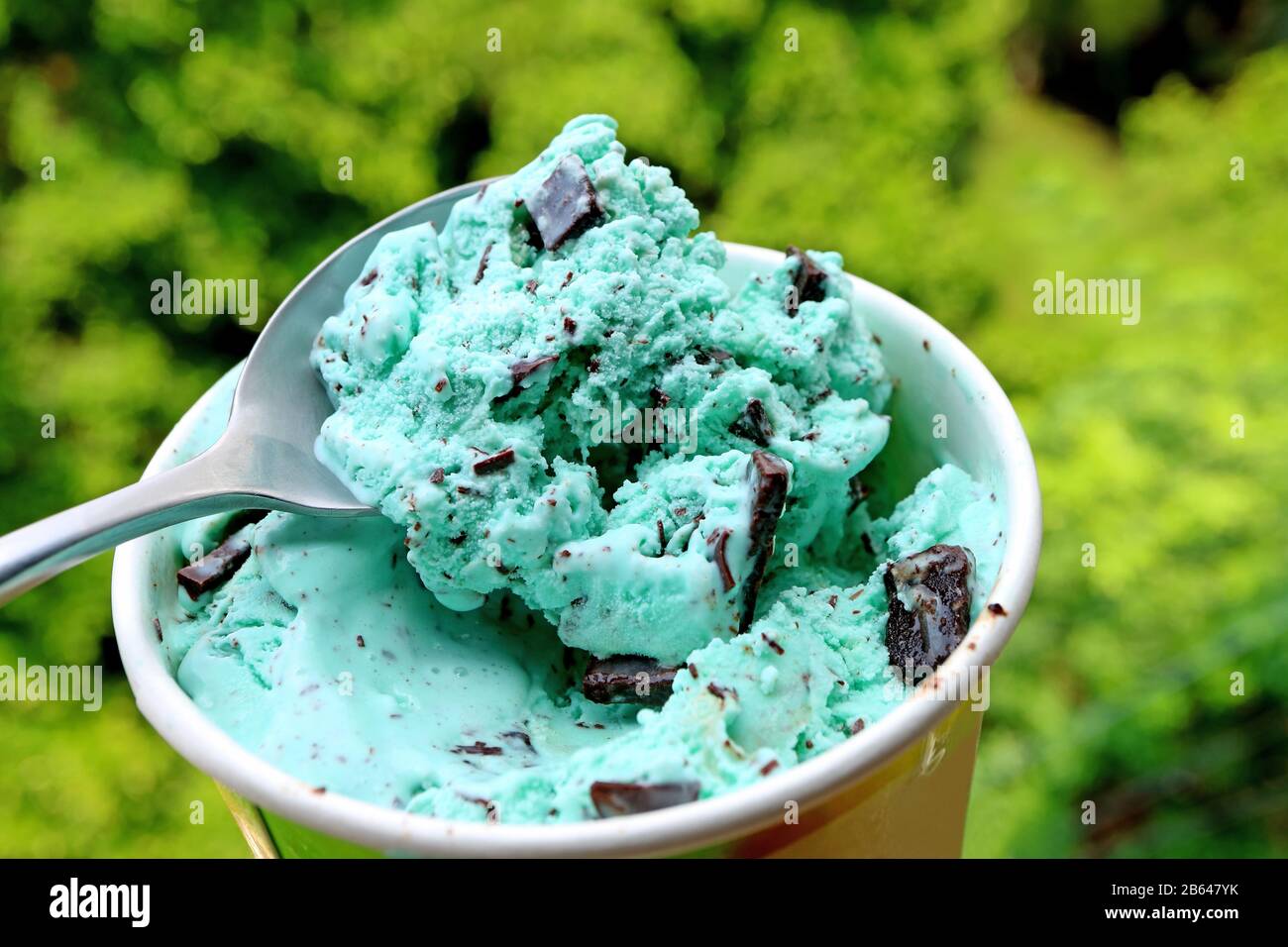 Ice cream bush hi-res stock photography and images - Alamy