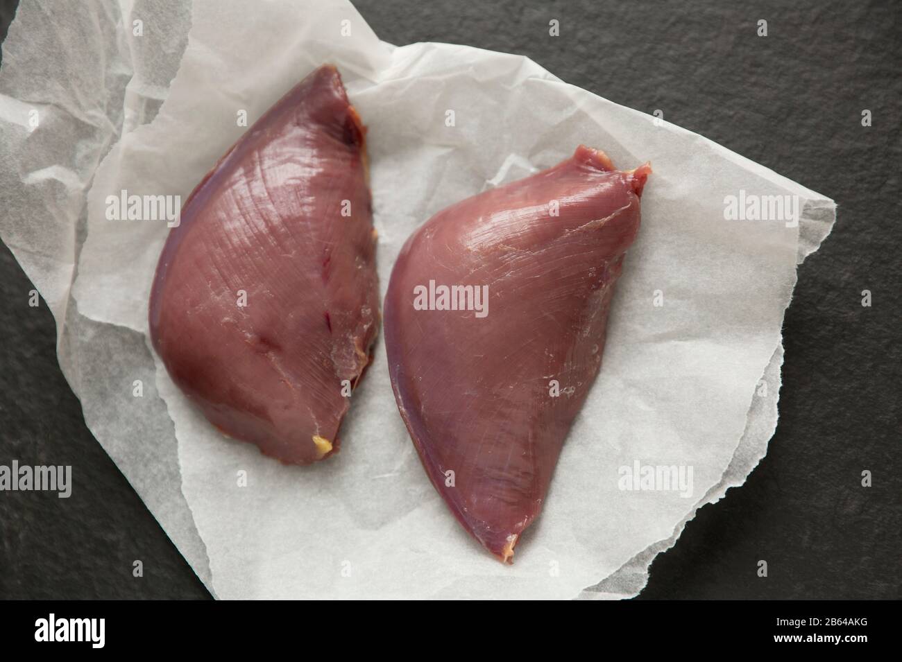 Two raw wood pigeon fillets, Columba palumbus, that are from a wood ...