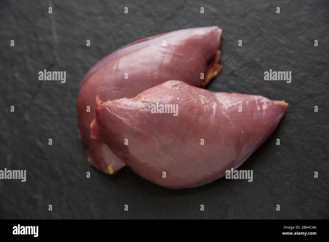 Two raw wood pigeon fillets, Columba palumbus, that are from a wood ...