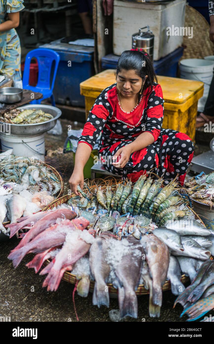 Fish market in the street of the Yangon, Myanmar, Asia Stock Photo - Alamy
