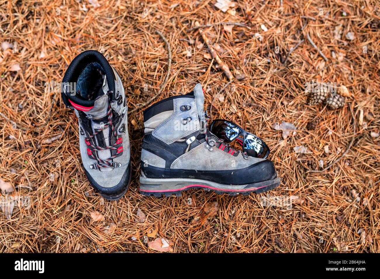 Hiking trekking boots are on the ground in the forest Stock Photo - Alamy