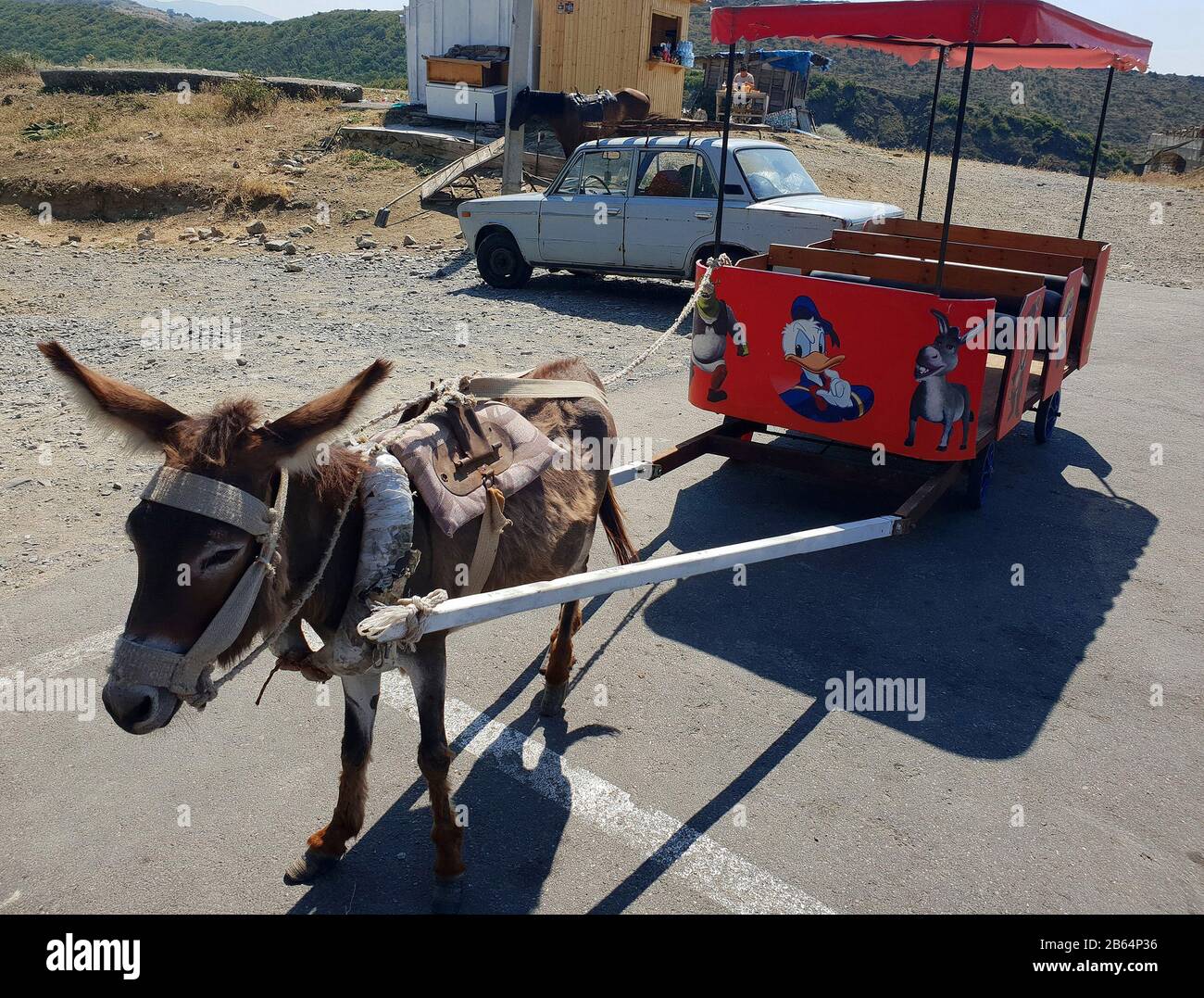 Children's donkey cart, Tbilisi, Georgia Stock Photo - Alamy